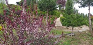 I Giardini di Zoe | Alexandra Cristian